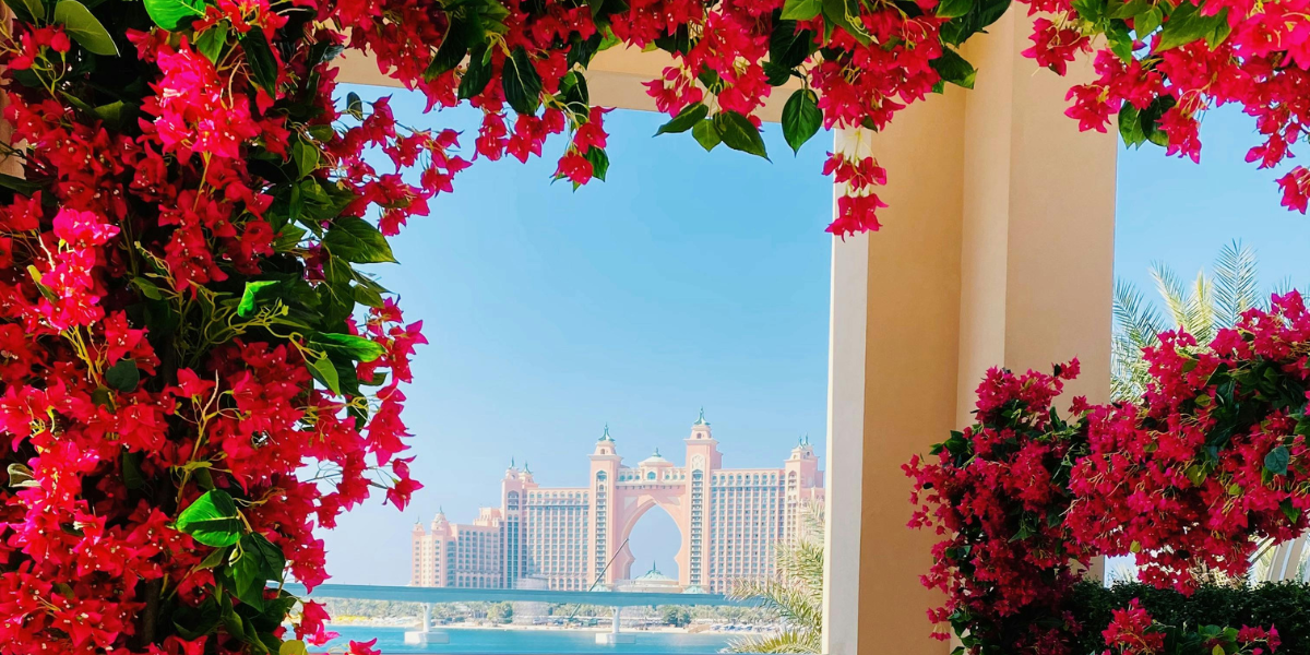 Hidden Gems: Discover Dubai’s Most Underrated And Affordable Flower ...